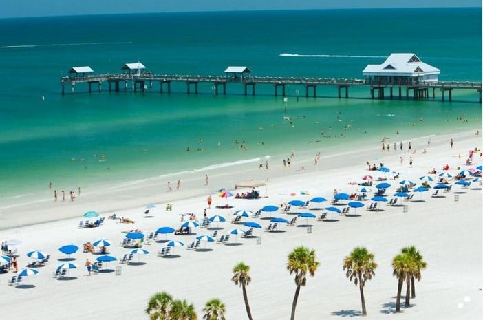 From Orlando: Clearwater Beach and Marine Aquarium Admission - What Makes It Special?