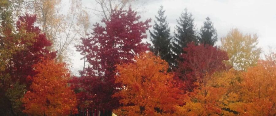 From Ottawa: Gatineau Park Fall Colors Guided Trip - An Authentic Look at Gatineau Park’s Fall Colors