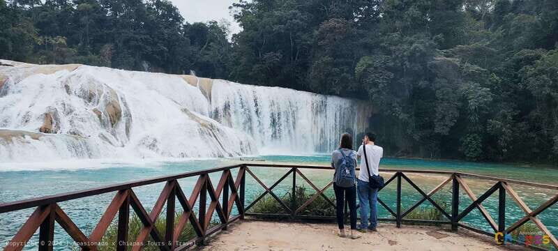 From Palenque: Palenque, Agua Azul Waterfalls and Misol-Ha - The Experience in Detail
