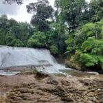 From Palenque: Palenque and Roberto Barrios Waterfalls Tour - A Closer Look at the Itinerary
