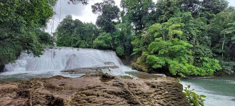 From Palenque: Palenque and Roberto Barrios Waterfalls Tour - A Closer Look at the Itinerary
