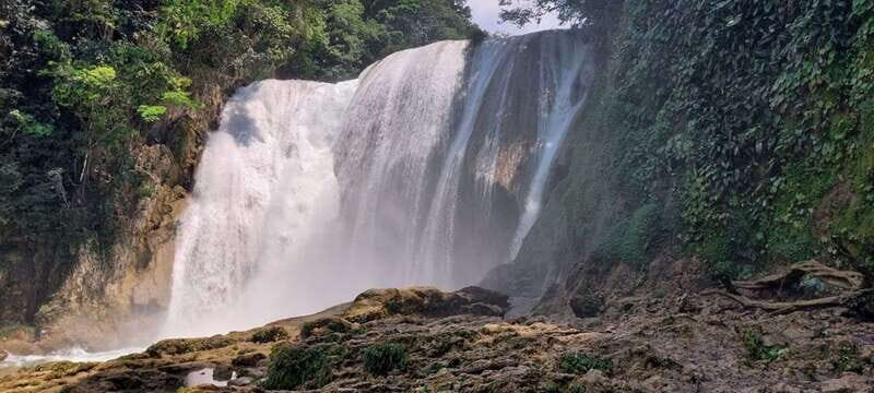 From Palenque: Roberto Barrios and El Salto Waterfalls Tour - Why This Tour Offers Good Value