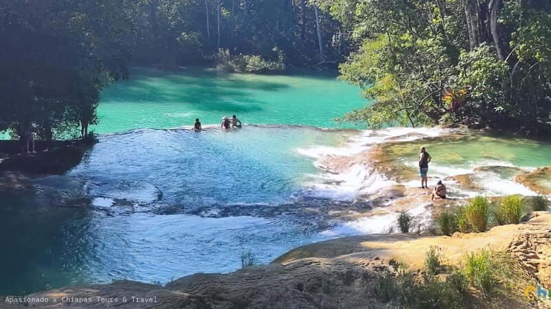 From Palenque: Tour of the Roberto Barrios Waterfalls - The Experience of Visiting Roberto Barrios
