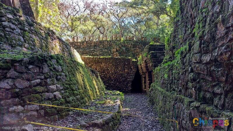 From Palenque: Yaxchilán and Bonampak Tour - Who Is This Tour Best For?