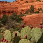 From Phoenix: Full-Day Sedona Small-Group Tour - The Value of the Experience