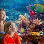 From Playa del Carmen: Complete Combo to Xcaret Park! - How the Experience Fits Together