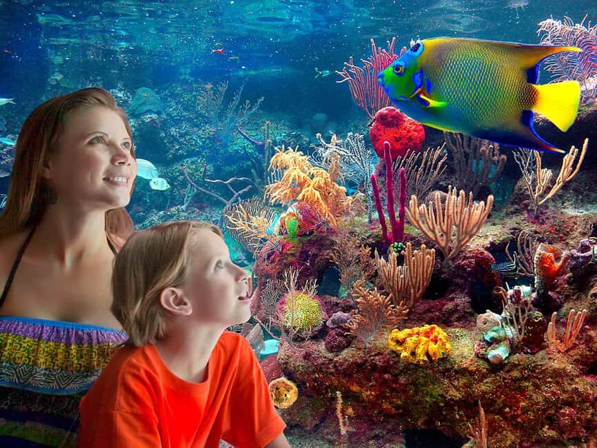 From Playa del Carmen: Complete Combo to Xcaret Park! - How the Experience Fits Together