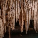 From Playa del Carmen or Tulum: Rio Sagrado Experience - What to Expect from the Rio Sagrado Experience