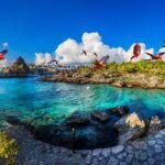 From Playa del Carmen: Xcaret Plus Park, the complete experience - Highlights of the Park