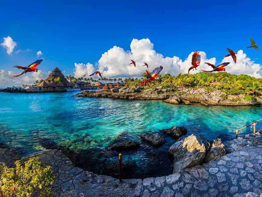 From Playa del Carmen: Xcaret Plus Park, the complete experience - Highlights of the Park
