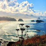 From Portland: Oregon Coast Adventure Day Tour with Pickup - The Value of This Tour