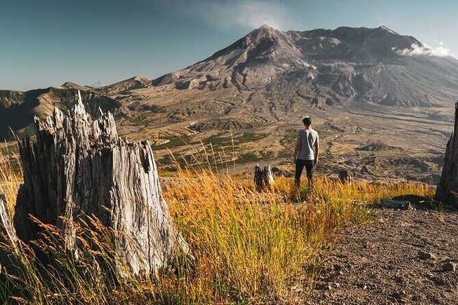 From Portland to Mt. Saint Helen Tour in a Small Group - Who Should Consider This Tour?