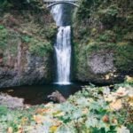 From Portland: Waterfalls, Mt Hood, and Wine Day Tour - The Experience in Practice