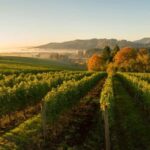 From Portland: Willamette Valley Wine Tasting Tour - The Itinerary: What You Can Expect