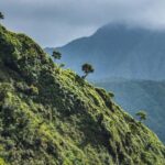 From Princeville: Discover Kauai Helicopter Tour - Who Should Consider This Tour?