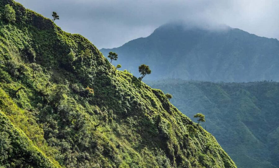 From Princeville: Discover Kauai Helicopter Tour - Who Should Consider This Tour?
