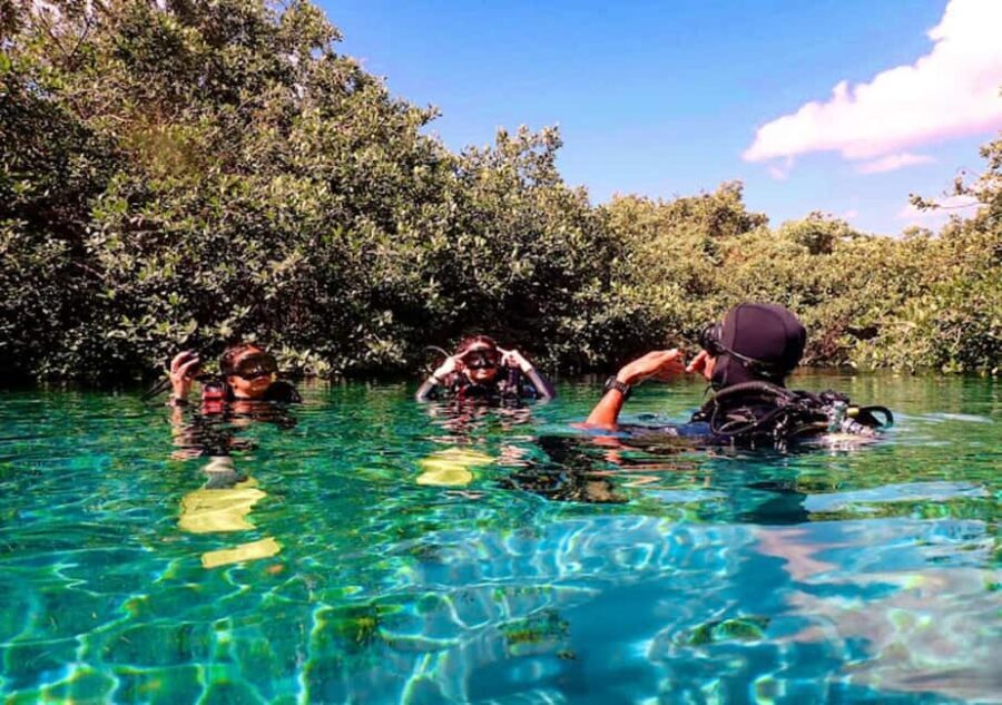 From Puerto Morelos: Ocean Reef Snorkeling - Who Should Consider This Tour?