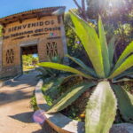 From Puerto Vallarta: San Sebastian del Oeste Guided Tour - An In-Depth Look at the San Sebastian del Oeste Tour
