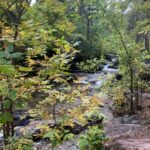 From Rapid City: Private Spearfish Canyon Tour - The Hiking Experience and Flexibility