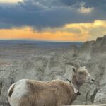 From Rapid City: Sunset, Stars and Silhouettes - Final Thoughts