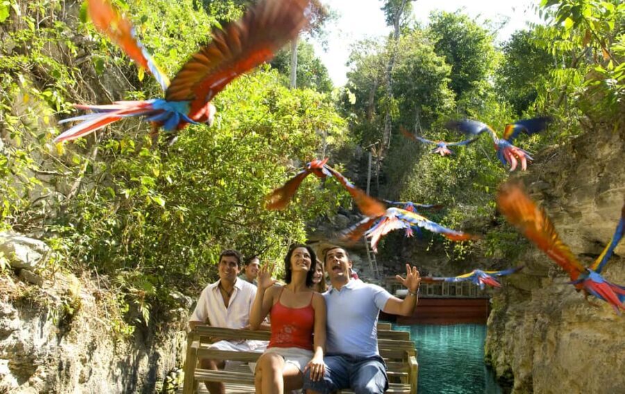 From Riviera Maya: Complete Combo to Xcaret Park! - The Cultural and Entertainment Highlights