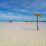 From Riviera Maya: Holbox Full-Day Tour with Lunch - Authentic Experiences: What Travelers Are Saying