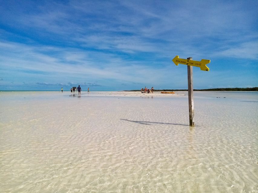 From Riviera Maya: Holbox Full-Day Tour with Lunch - Authentic Experiences: What Travelers Are Saying