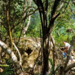 From Riviera Maya: Private Temazcal Ceremony & Cenote swim - Analyzing the Value: Is It Worth the Price?