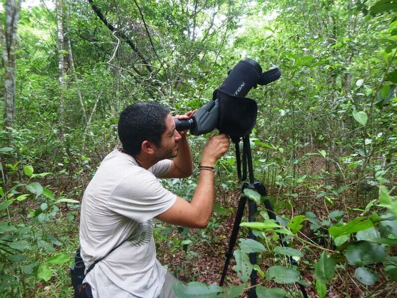 From Riviera Maya : Sian Ka'an Muyil Birdwatching with Guide - The Itinerary Breakdown