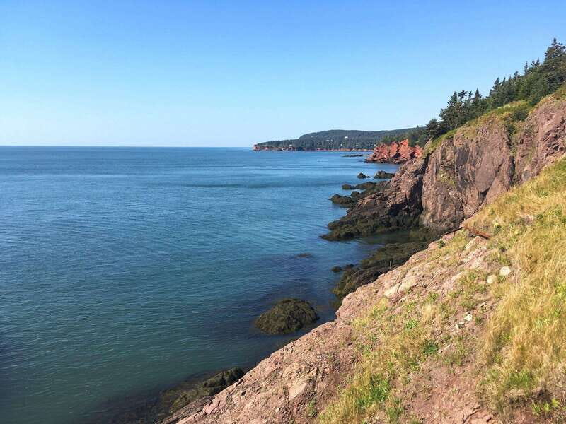 From Saint John: Bay of Fundy Bus Trip for Cruise Passengers - What’s Included and What’s Not