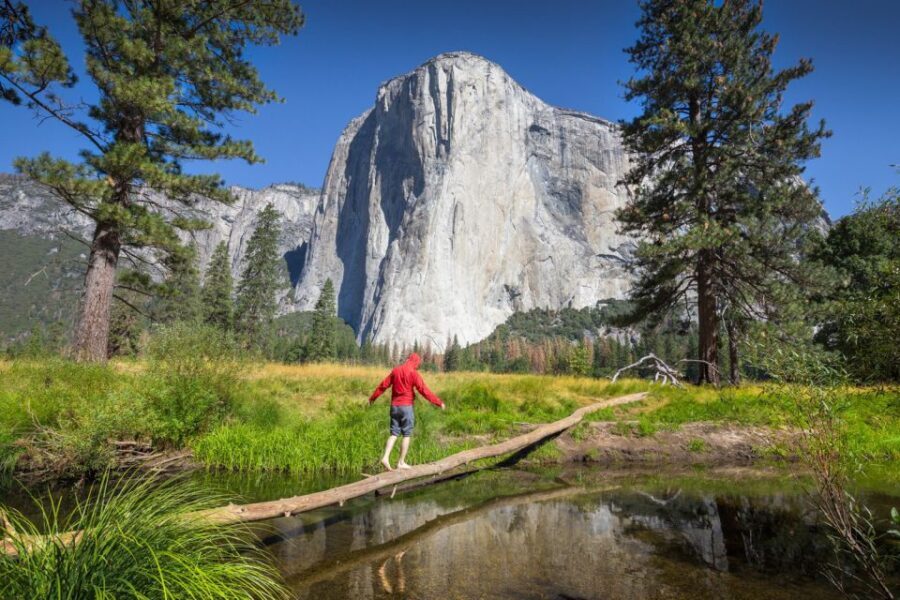 From San Francisco: 2-Day Yosemite Guided Trip with Pickup - Who Will Benefit Most from This Tour?