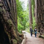 From San Francisco: Muir Woods, Sausalito and Alcatraz Tour - Navigating the Itinerary