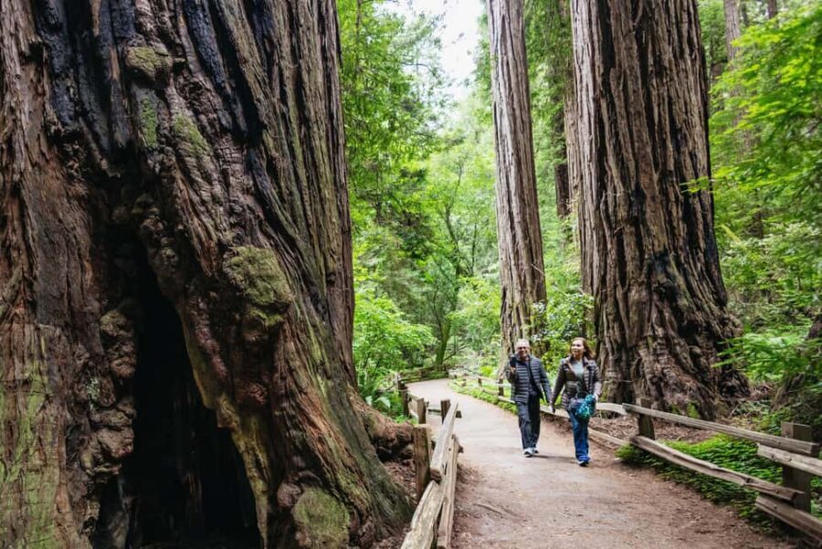 From San Francisco: Muir Woods, Sausalito and Alcatraz Tour - Navigating the Itinerary