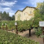 From San Francisco: Private Muir Woods and Napa Wine Tour - The Practicalities: How It Works