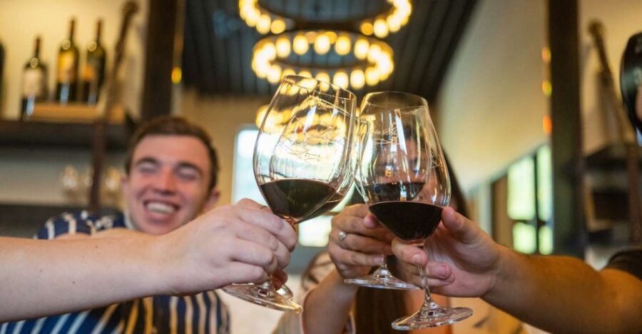 From San Francisco: The Ultimate Napa and Sonoma Wine Tour - Final Thoughts: Who Will Love This Tour?