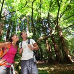 From San Francisco: Wine Tour, Redwoods, and Hop-on Hop-off Tour - Value and Price Analysis