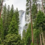 From San Francisco: Yosemite National Park Guided Day Trip - Analyzing the Value
