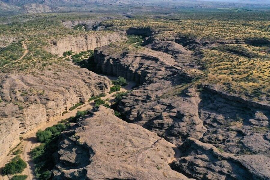From Scottsdale: Sonoran Desert & Tonto National Forest Trip - Who Will Love This Tour?