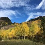 From Seattle: Mount Rainier Guided Day Tour - Authentic Insights from Reviews