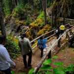 From Seattle: Mount Rainier National Park Guided Tour - Why Travelers Love This Tour