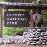 From Seattle: Olympic National Park Full Day Tour - Exploring the Waterfalls and Forests