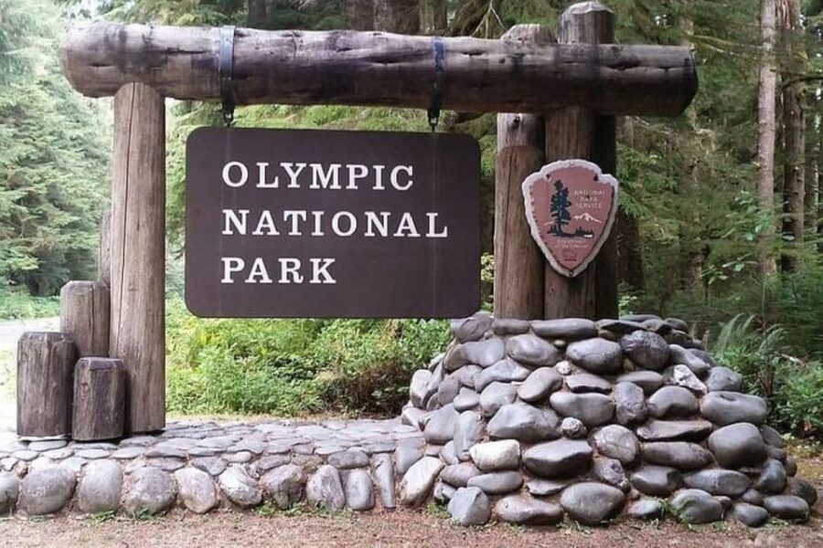 From Seattle: Olympic National Park Full Day Tour - Exploring the Waterfalls and Forests