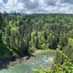 From Seattle: Pacific Northwest Waterfalls & Hiking Tour - Hike Through Old-Growth Forests to Twin and Upper Falls