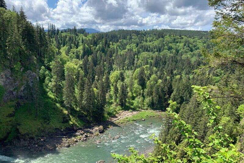 From Seattle: Pacific Northwest Waterfalls & Hiking Tour - Hike Through Old-Growth Forests to Twin and Upper Falls