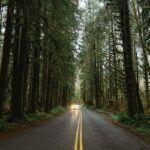 From Seattle: Twilight Forks Washington Tour - Final Thoughts