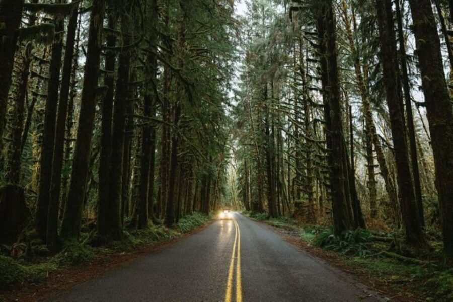 From Seattle: Twilight Forks Washington Tour - Final Thoughts