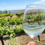 From Seattle - Wine Tasting, Vineyards in Eastern WA - FAQ
