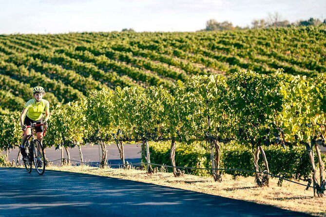 From Seattle Wine Tasting, Vineyards in Eastern WA - Value and Practicality