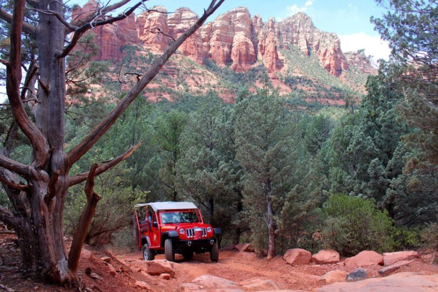 From Sedona: Red Rock West Private Jeep Tour - What to Expect and Practical Details