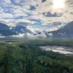 From Seward: Harding Icefield Trail Hiking Tour - What to Expect During the Tour